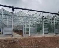 China Glass Cover NFT Hydroponic Growing Systems The Ultimate Solution for Vertical Farming for sale