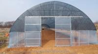 China Film Cover 50x8m Single Span Type Agricultural Tunnel Greenhouse with 3.5-5M Height for sale