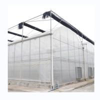 China Optimal Irrigation Agricultural Multi Span Plastic Greenhouse for Single Layer Crops for sale