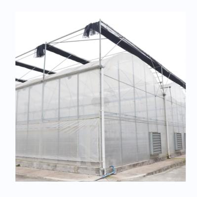 China Optimal Irrigation Agricultural Multi Span Plastic Greenhouse for Single Layer Crops for sale