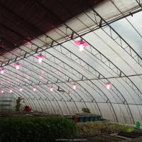 China Solar Winter Greenhouses Warm Agricultural Greenhouse with Galvanized Steel Frame for sale