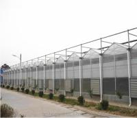 China Super Strong Resistance 8mm Polycarbonate Covering Multi-Span Greenhouse for Tomatoes for sale