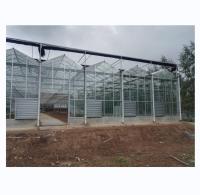 China Tempered Glass Covered Agricultural Greenhouse for Growing Vegetables in Holland Frame for sale