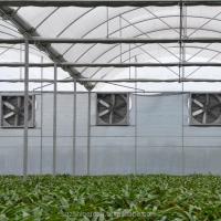 China Optimal Irrigation Agricultural Multi Span Plastic Greenhouse for Single Layer Crops for sale