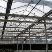 China Tempered Glass Covered Agricultural Greenhouse for Growing Vegetables in Holland Frame for sale
