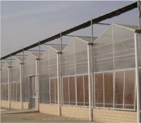 China Vegetable Fruits Flowers Multi Span Agricultural Greenhouses With Hydroponic Systems for sale