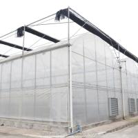 China PE Multi Span Greenhouse for Tomato Growing and Agricultural in Tropical Climate for sale