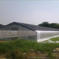 China PE Tunnel Greenhouse for Hydroponic Tomato Cultivation Easy Assembly Length 10-100m for sale