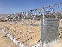 China PE Tunnel Greenhouse for Hydroponic Tomato Cultivation Easy Assembly Length 10-100m for sale