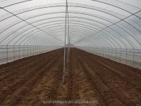 China PE Tunnel Greenhouse for Hydroponic Tomato Cultivation Easy Assembly Length 10-100m for sale