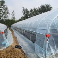 China PE Tunnel Greenhouse for Hydroponic Tomato Cultivation Easy Assembly Length 10-100m for sale
