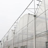 China Hot Dip Galvanized Steel Tube Frame Multi Span Agricultural Greenhouse for sale
