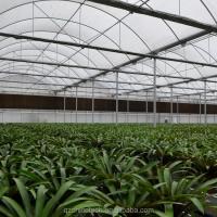 China Hot Dip Galvanized Steel Tube Frame Multi Span Agricultural Greenhouse for sale