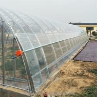 China Small Single Span PE Plastic Film Greenhouse For Vegetable Agriculture 10-100m Length for sale