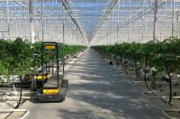China Large Agricultural Intelligent Holland Greenhouse Glass for Tomatoes Cucumber Lettuce for sale