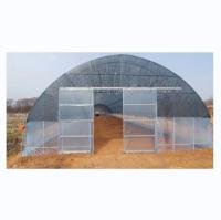 China High Tunnel Film Covered Tomato Greenhouse with Shade Net Single Layer 10-100m Length for sale