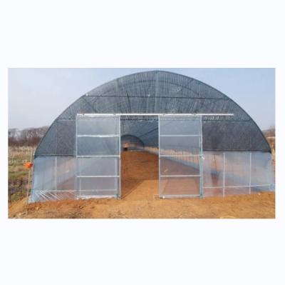 China High Tunnel Film Covered Tomato Greenhouse with Shade Net Single Layer 10-100m Length for sale