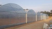 China Super Strong Resistance Multi Span Agricultural Greenhouse By Shine Tech for sale