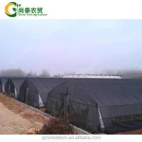 China High Tunnel Film Covered Tomato Greenhouse with Shade Net Single Layer 10-100m Length for sale