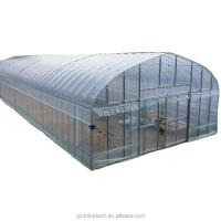 China High Tunnel Film Covered Tomato Greenhouse with Shade Net Single Layer 10-100m Length for sale