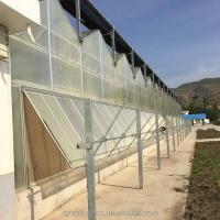 China Tomato Grow Agriculture Greenhouses Manufacturers in Venlo Style with PC Sheet Cover for sale