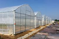 China Customizable Size Multi Span Agricultural Greenhouses With Hot Dip Galvanized Steel Tube for sale