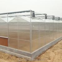 China Tomato Grow Agriculture Greenhouses Manufacturers in Venlo Style with PC Sheet Cover for sale