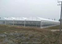 China Customizable Size Multi Span Agricultural Greenhouses With Hot Dip Galvanized Steel Tube for sale