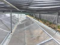 China 4m Bay Width Multi Span Greenhouse Agricultural Cover Material Super Strong Resistance for sale