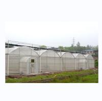 China Super Strong Resistance Agriculture Multispan Greenhouse Frame for Growing Vegetables for sale