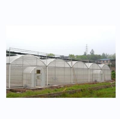 China Super Strong Resistance Agriculture Multispan Greenhouse Frame for Growing Vegetables for sale