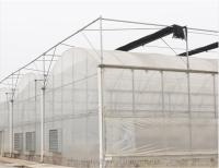 China Super Strong Resistance Agriculture Multispan Greenhouse Frame for Growing Vegetables for sale