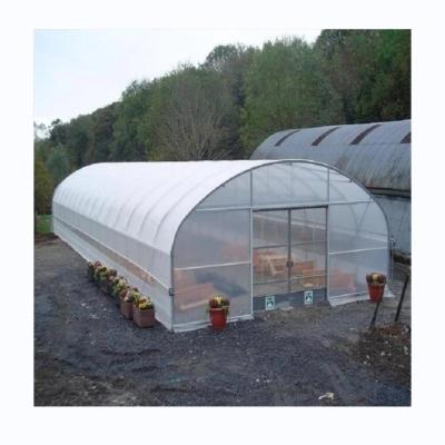 China Ventilated Hot Dip Galvanized Steel Tube Frame Tunnel Agriculture Film Greenhouse for sale