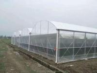 China Super Strong Resistance Agriculture Multispan Greenhouse Frame for Growing Vegetables for sale