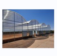 China Multi Span Commercial Agricultural Smart Venlo PC Greenhouse 4.0-8.0M Height for sale