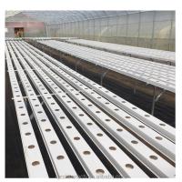China Ventilated Hot Dip Galvanized Steel Tube Frame Tunnel Agriculture Film Greenhouse for sale