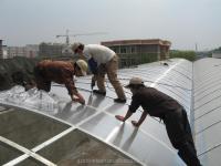 China Multi Span Commercial Agricultural Smart Venlo PC Greenhouse 4.0-8.0M Height for sale