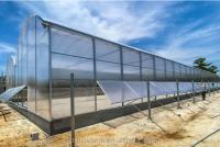 China Multi Span Commercial Agricultural Smart Venlo PC Greenhouse 4.0-8.0M Height for sale