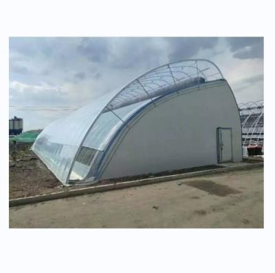 China Galvanized Steel Tube Winter Greenhouse For Hydroponic Growing System With Film Cover for sale