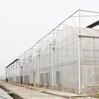 China Large Multi Span Agricultural Film Greenhouses With Optional Cooling System for sale