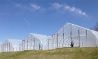China Drawing Shine Tech Single Span Tunnel Agricultural Greenhouses for sale