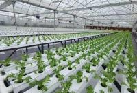 China Hydroponic Grow System 100*50mm NFT PVC Pipe Vertical Farming with White Accessories for sale