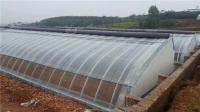 China Agricultural PE Greenhouse For Winter Insulation And Small Scale Strawberry Planting for sale