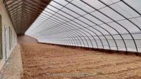 China Agricultural PE Greenhouse For Winter Insulation And Small Scale Strawberry Planting for sale