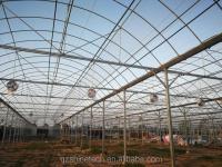 China Large Film Greenhouse Farming Fully Automated Light Deprivation System For Agriculture for sale