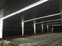 China Large Film Greenhouse Farming Fully Automated Light Deprivation System For Agriculture for sale
