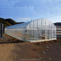 China Single Span Greenhouse Simple Frame Poly Tunnel Film Greenhouse For Agricultural for sale