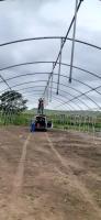 China Single Span Greenhouse Simple Frame Poly Tunnel Film Greenhouse For Agricultural for sale