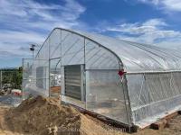 China Hot Dip Galvanized Steel Tube Single Layer Film Plastic Tunnel Agricultural Greenhouses for sale
