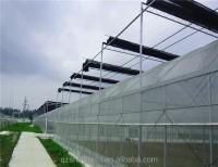 China Multi Span Agricultural Greenhouses With PE Film Covering And Gutter Connection for sale